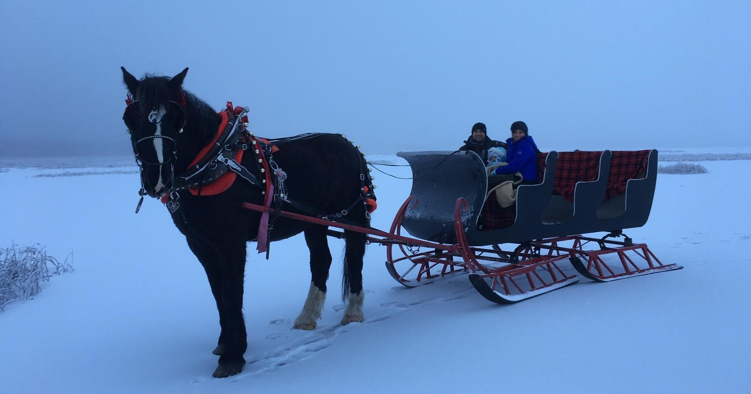 Winter Horse Sleigh Ride | Alaska Horse Adventures in Palmer